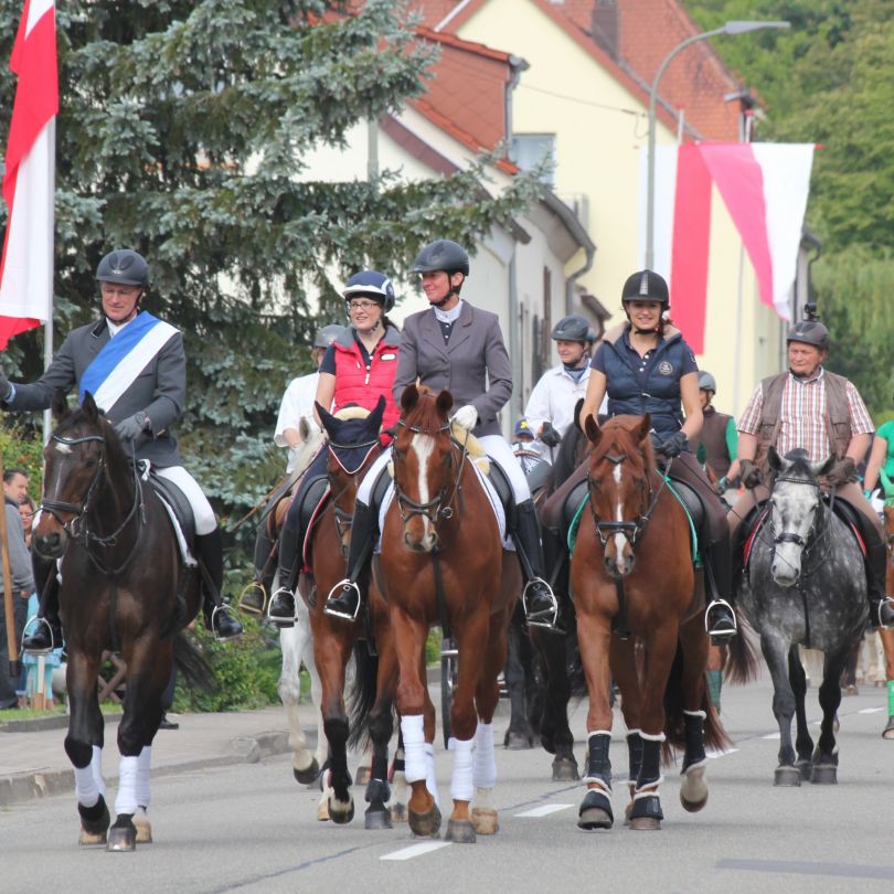 Geschehen Camping Walsheim